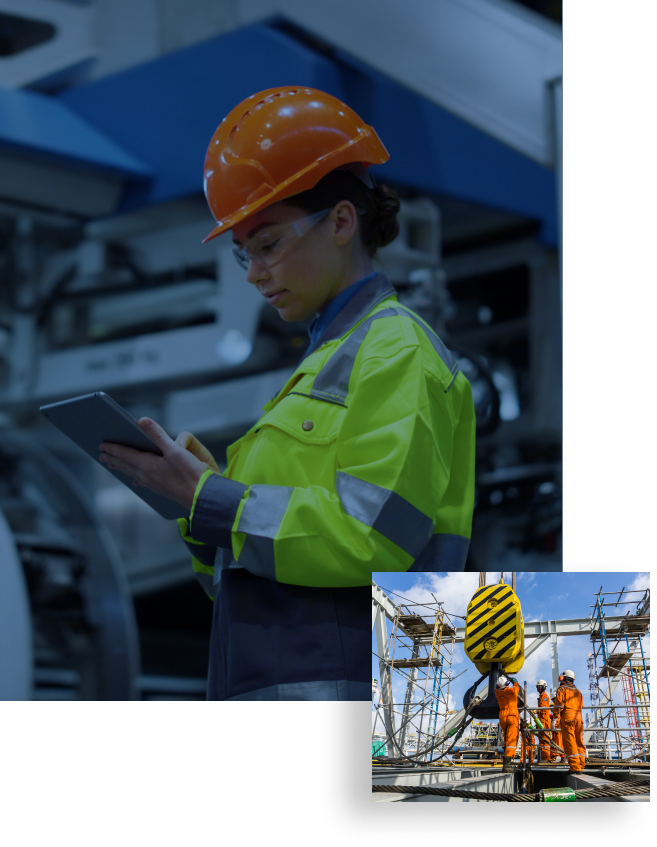 Placement Process | Avoler Group, LLC